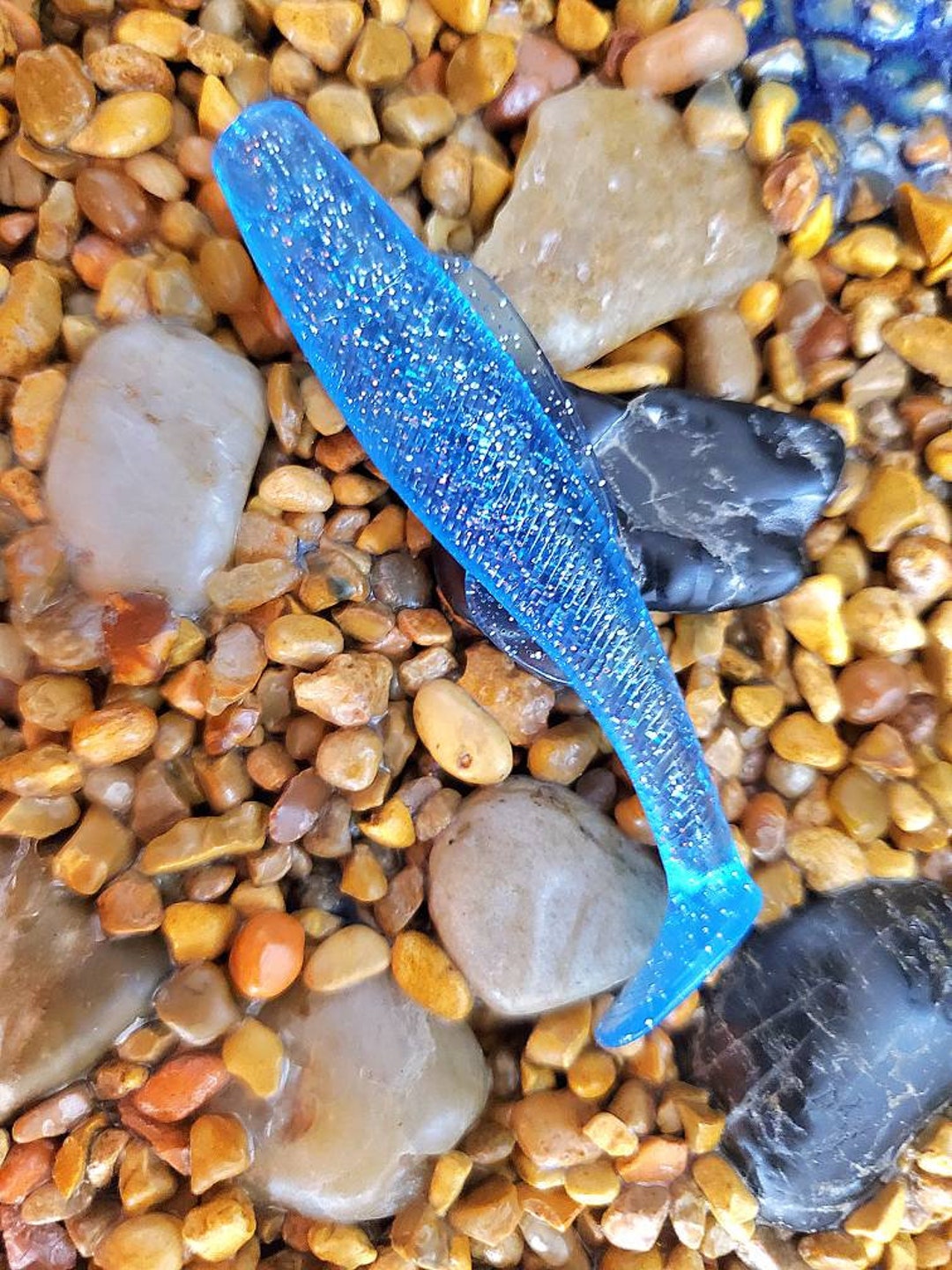 3" Cypress Shad (color Series Two) - Etsy