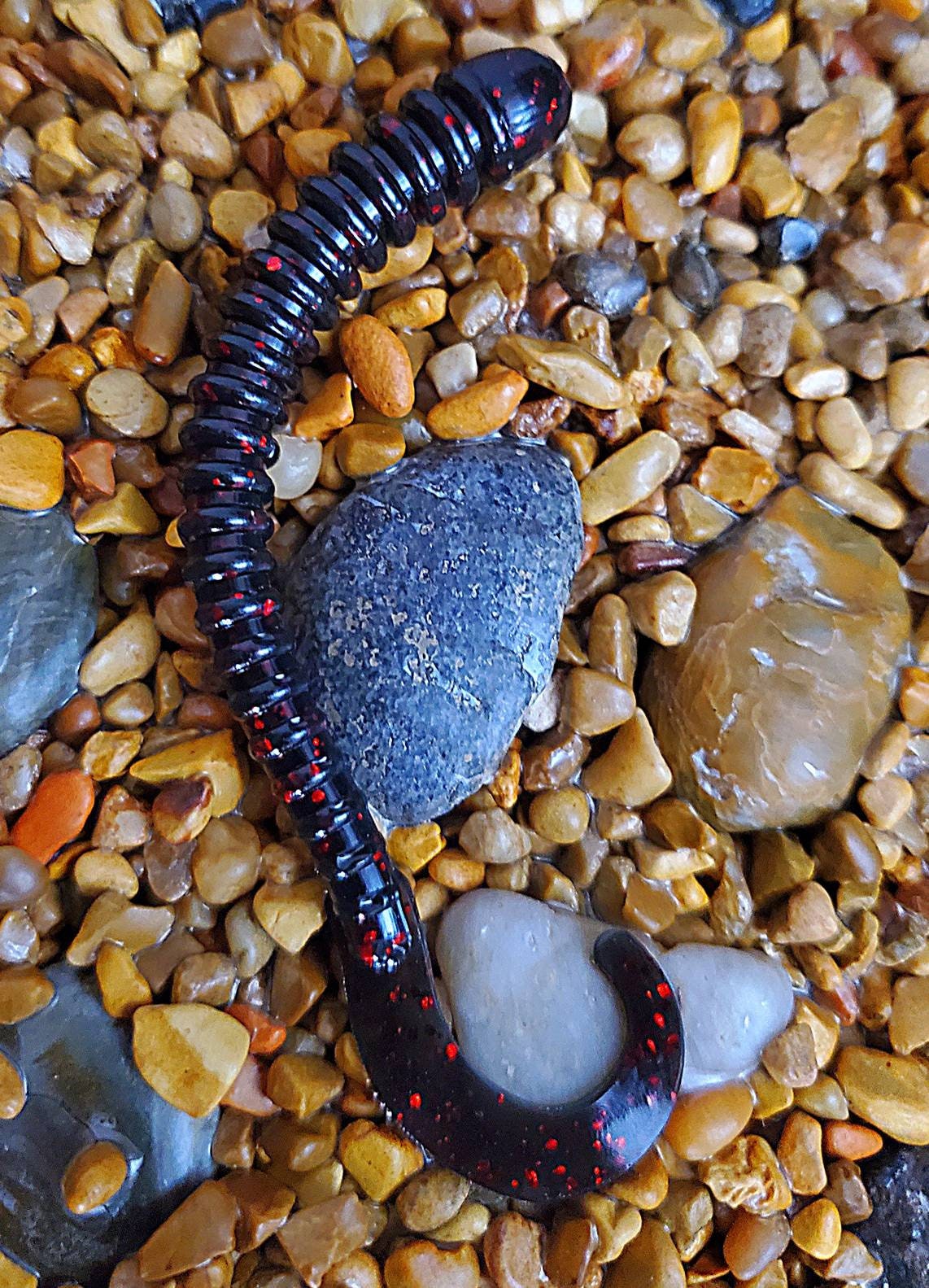 4 Zip Worm color Series One - Etsy