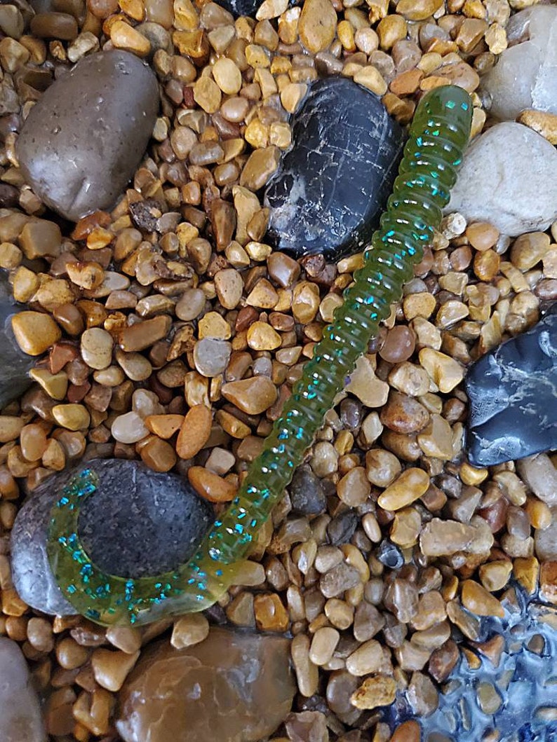 4 Zip Worm color Series One - Etsy
