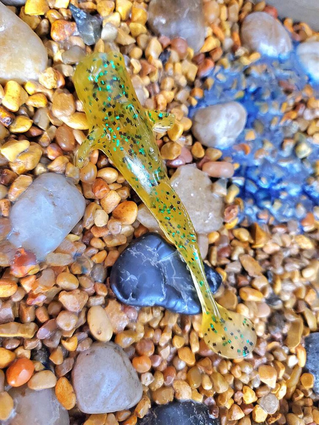 3.5" Goby (color Series Two) (open Poured) - Etsy