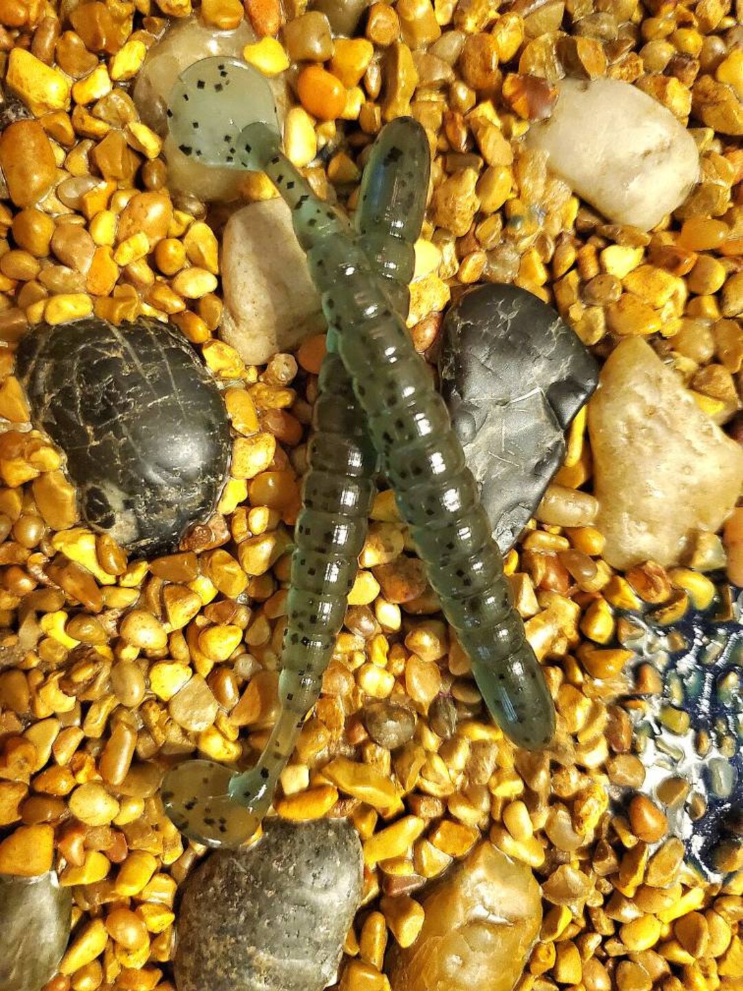 3.5 Thump Grub color Series One - Etsy