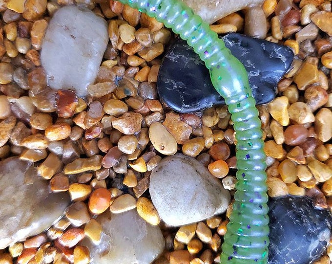 Worm 2 Inch Glitter Acrylic Keychain Cute Bug Earthworm Grub Pink ...