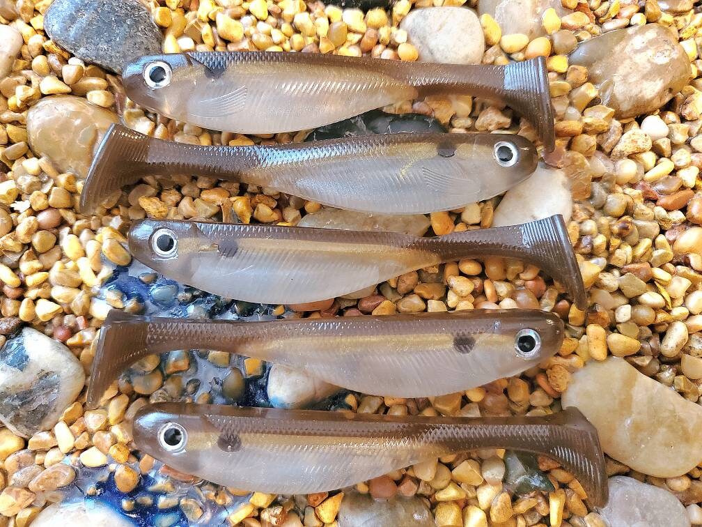 4 Shad Paddle Tail Swim Bait multi Color - Etsy