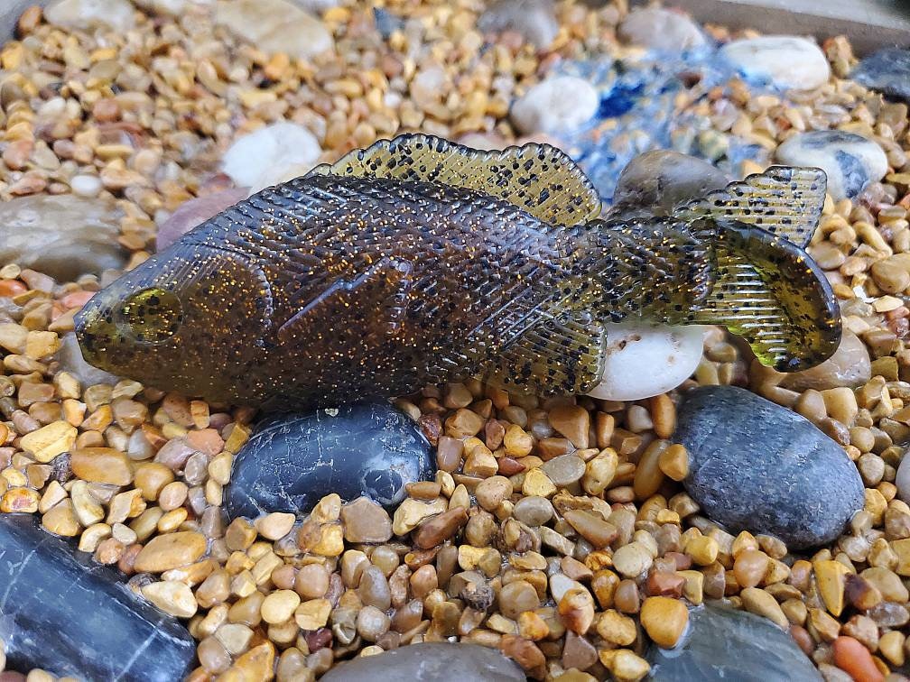 4.5" Gillz Swimbait (color Series One) - Etsy