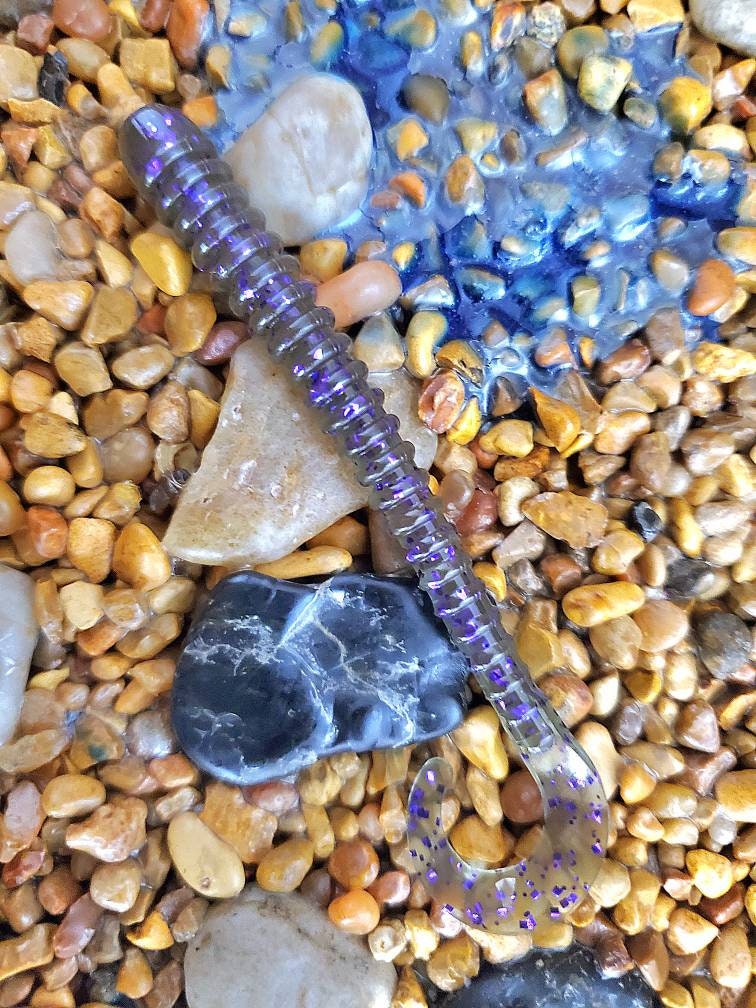 4" Zip Worm (color Series Two) - Etsy