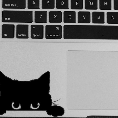 Black Cat Peeking Decal Vinyl Car Decal Window Decal - Etsy