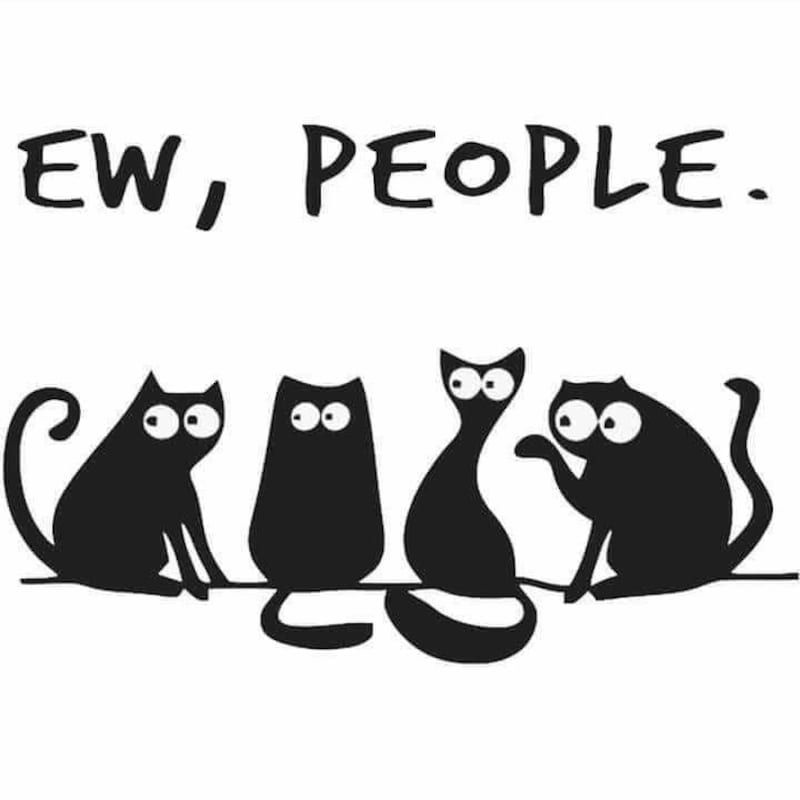 Funny Vinyl Decals - Etsy