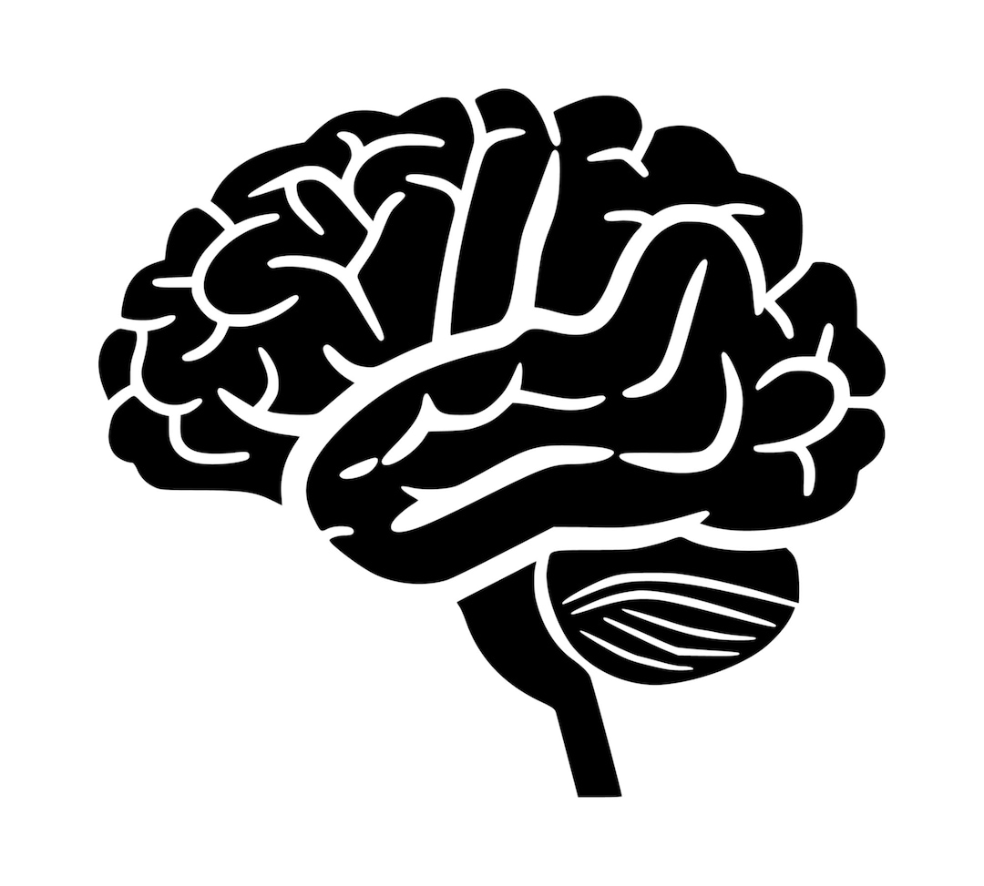 Brain Decal | Vinyl Car Decal | Window Decal | Laptop Decal | Vinyl ...