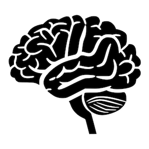 Brain Decal | Vinyl Car Decal | Window Decal | Laptop Decal | Vinyl ...