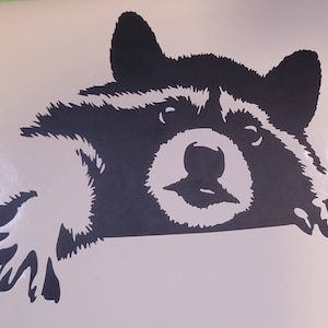 Raccoon Decal | Vinyl Car Decal | Window Decal | Laptop Decal | Vinyl ...