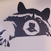 Raccoon Decal Vinyl Car Decal Window Decal Laptop Decal Vinyl Sticker ...