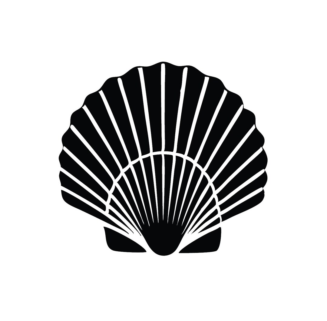 Seashell Decal | Vinyl Car Decal | Window Decal | Laptop Decal | Vinyl ...