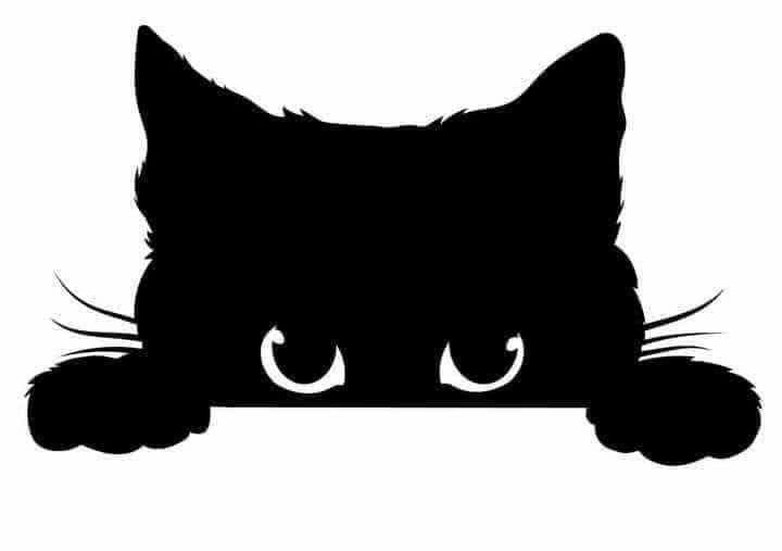 Black Cat Peeking Decal Vinyl Car Decal Window Decal - Etsy