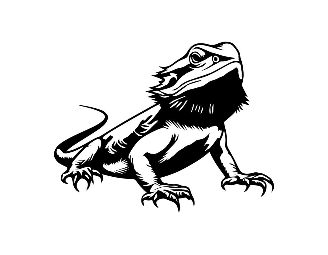 Bearded Dragon Decal | Vinyl Car Decal | Window Decal | Laptop Decal ...