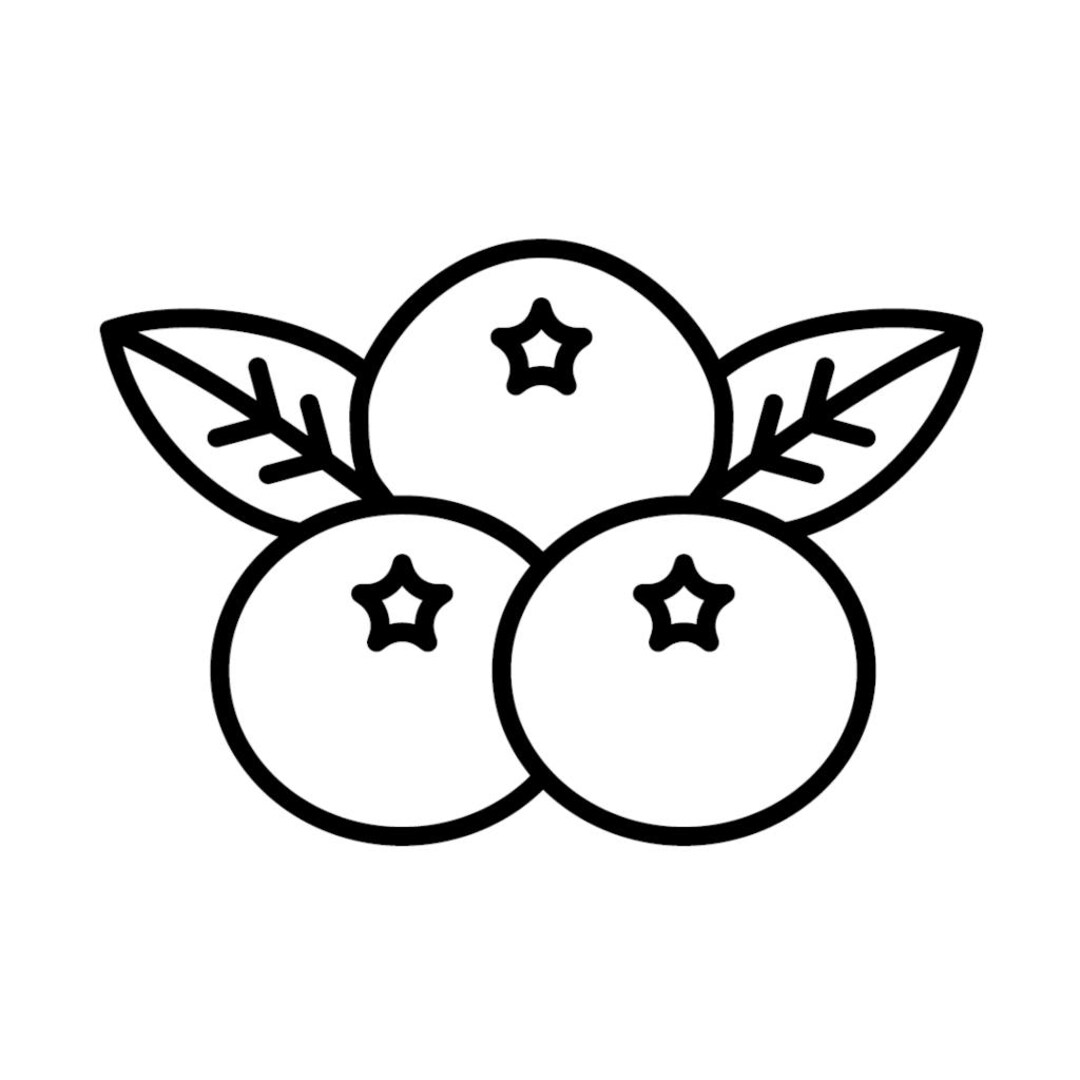 Blueberry Decal | Vinyl Car Decal | Window Decal | Laptop Decal | Vinyl ...