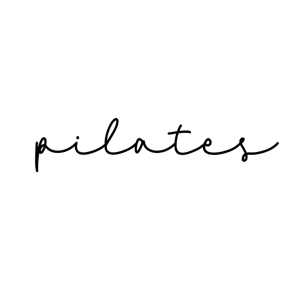 Pilates Decal | Vinyl Car Decal | Window Decal | Laptop Decal | Vinyl ...