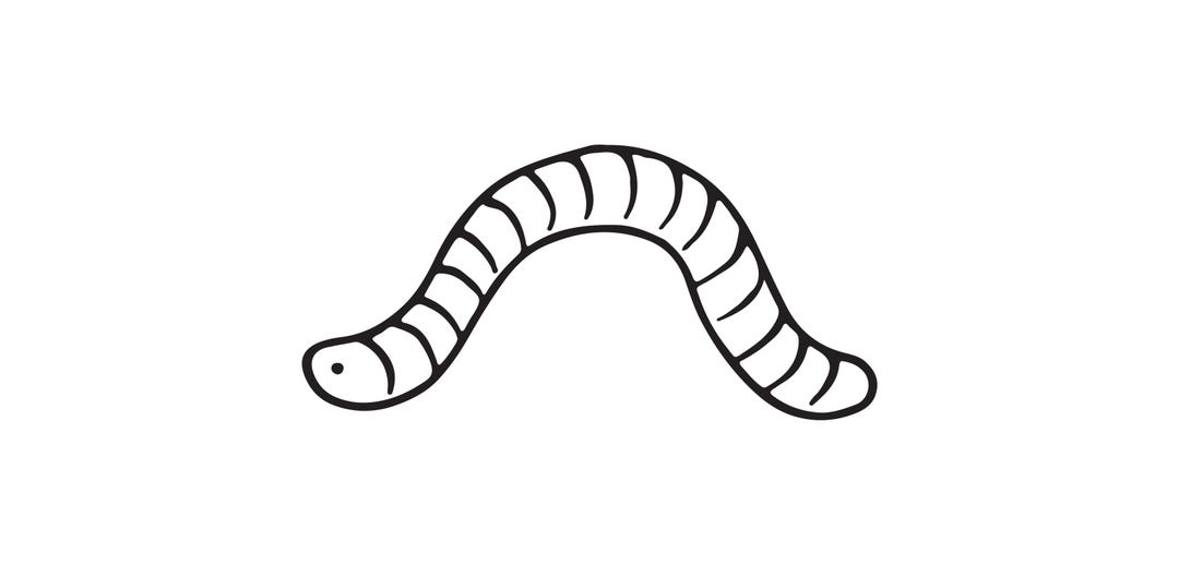 Worm Decal | Vinyl Car Decal | Window Decal | Laptop Decal | Vinyl ...
