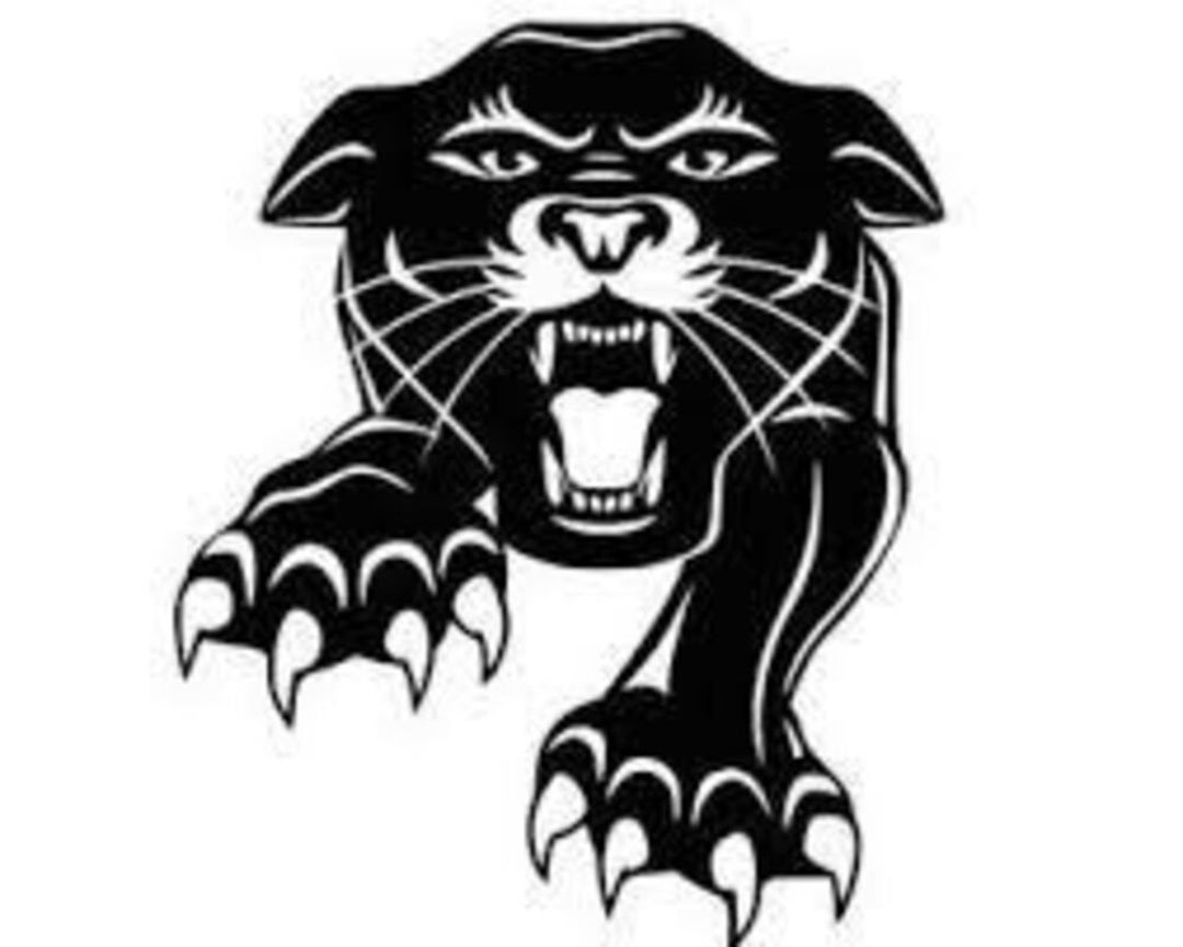 Panther Decal | Vinyl Car Decal | Window Decal | Laptop Decal | Vinyl ...