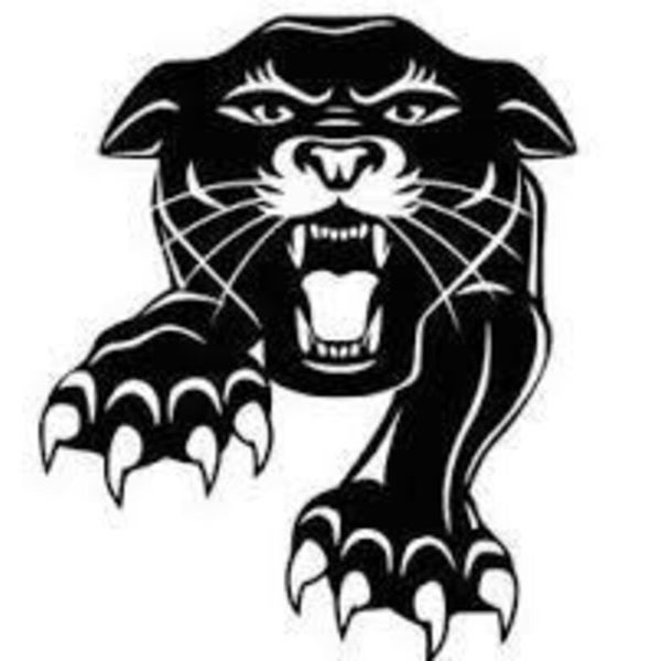 Panther Decals - Etsy