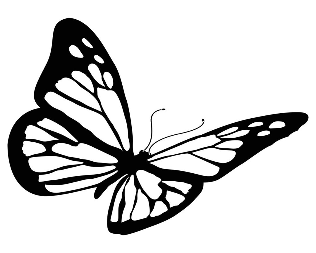 Butterfly Decal Vinyl Car Decal Window Decal Laptop Decal Vinyl Sticker ...
