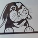 Bunny Peeker Decal Vinyl Car Decal Window Decal Laptop Decal Vinyl ...