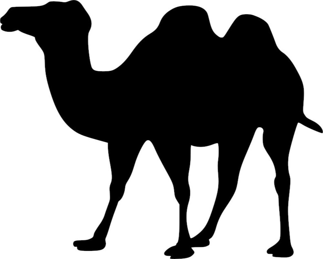 Camel Decal Vinyl Car Decal Window Decal Laptop Decal Vinyl Sticker - Etsy