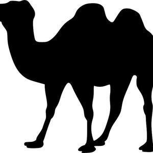 Camel Decal Vinyl Car Decal Window Decal Laptop Decal Vinyl Sticker - Etsy