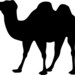 Camel Decal Vinyl Car Decal Window Decal Laptop Decal Vinyl Sticker - Etsy