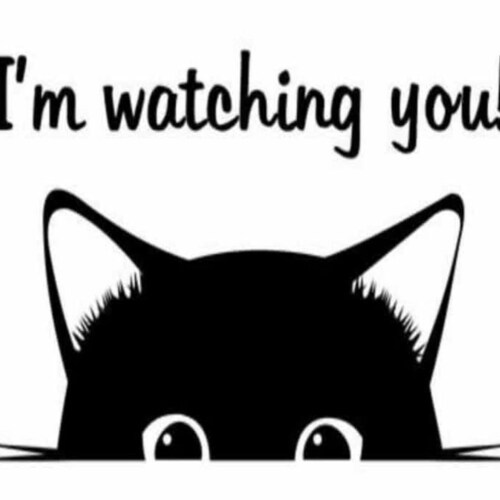 Black Cat Peeking Decal Vinyl Car Decal Window Decal - Etsy