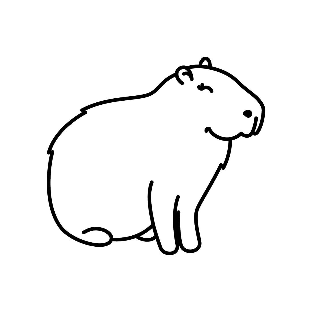 Capybara Decal | Vinyl Car Decal | Window Decal | Laptop Decal | Vinyl ...
