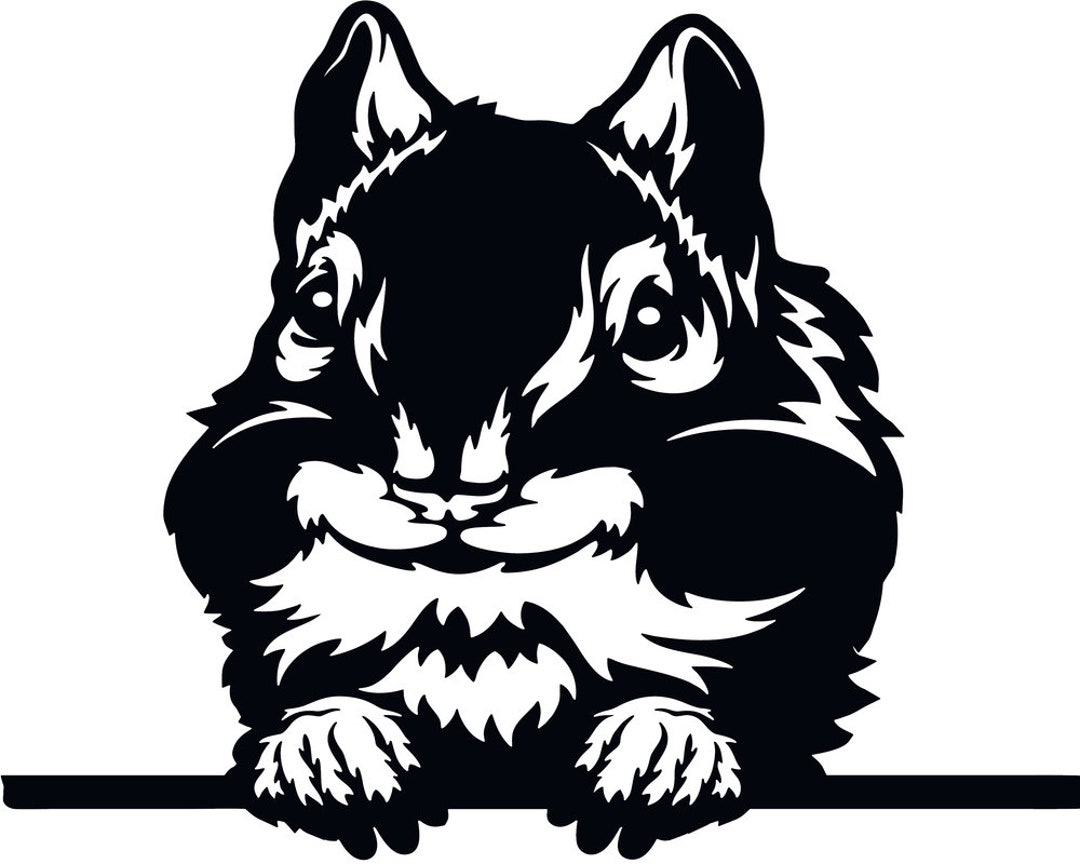 Squirrel Peeker Decal Vinyl Car Decal Window Decal Laptop Decal Vinyl ...