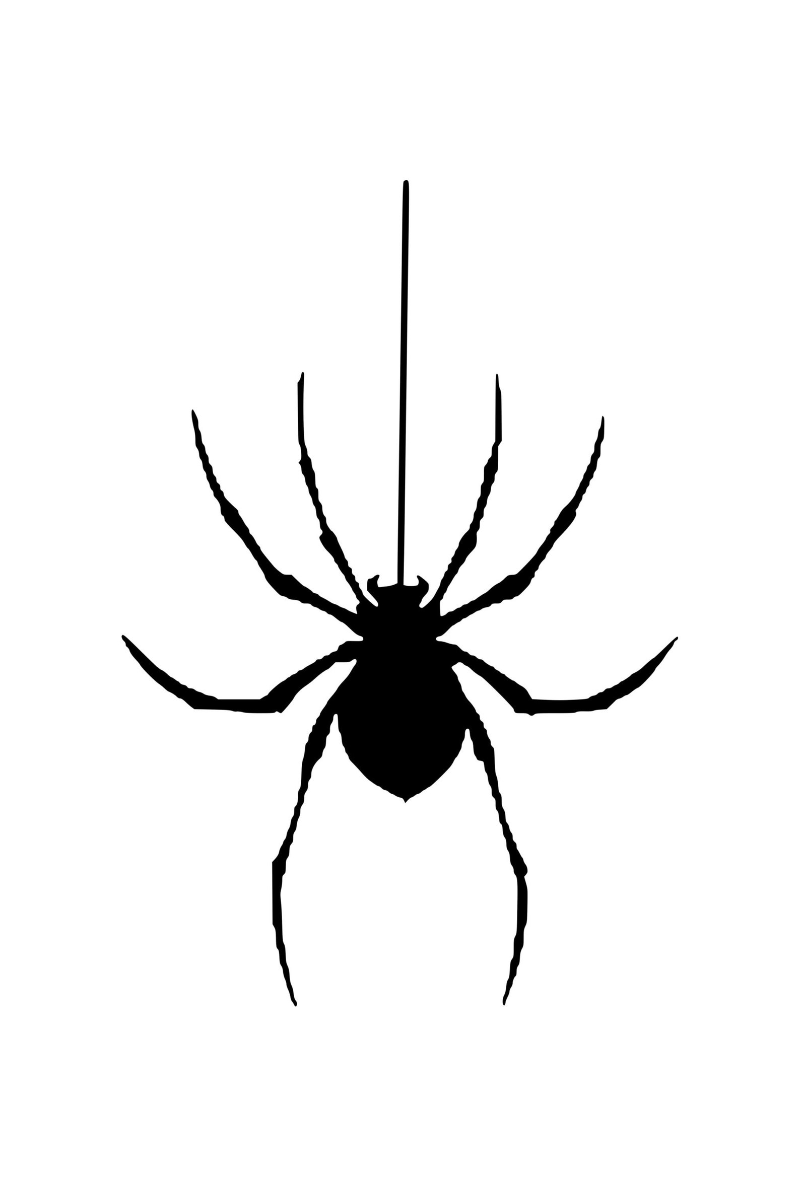 Spider Decal | Vinyl Car Decal | Window Decal | Laptop Decal | Vinyl ...