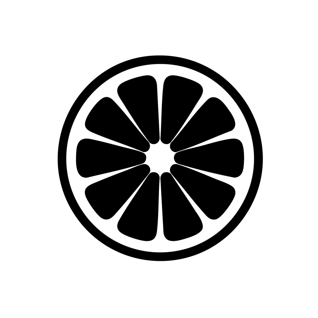 Citrus Fruit Slice Decal | Vinyl Car Decal | Window Decal | Laptop ...