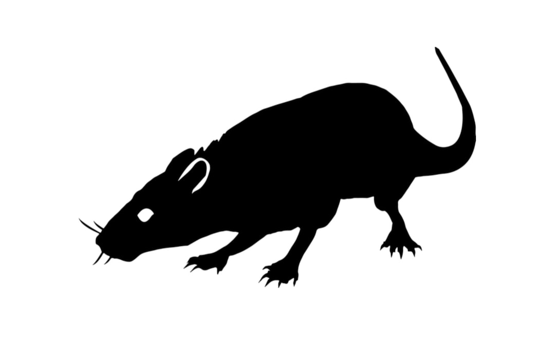 Rat Decal | Vinyl Car Decal | Window Decal | Laptop Decal | Vinyl ...