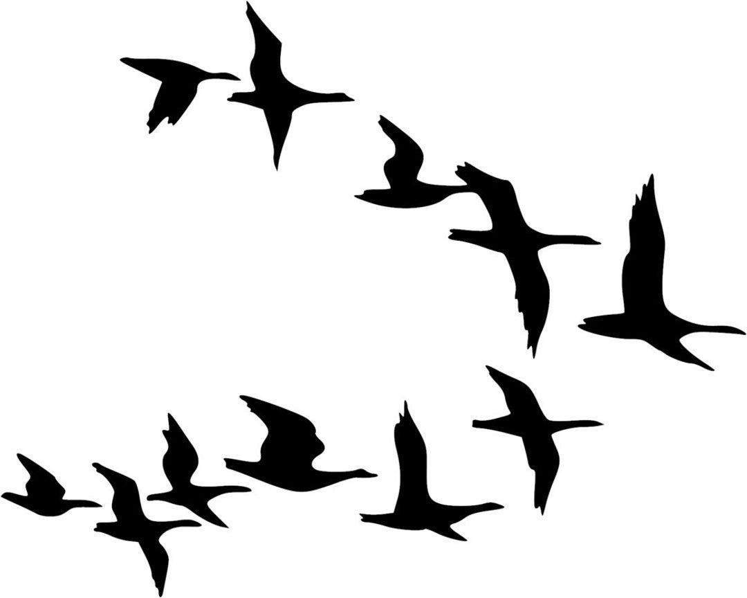 Flying Flock of Birds Decal | Vinyl Car Decal | Window Decal | Laptop ...