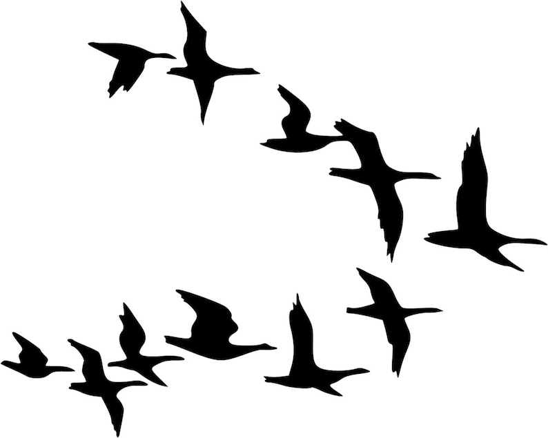 Flying Flock of Birds Decal Vinyl Car Decal Window Decal - Etsy