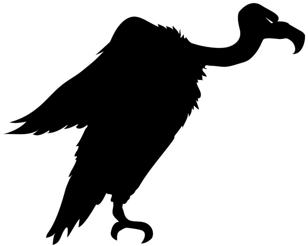 Vulture Decal | Vinyl Car Decal | Window Decal | Laptop Decal | Vinyl ...