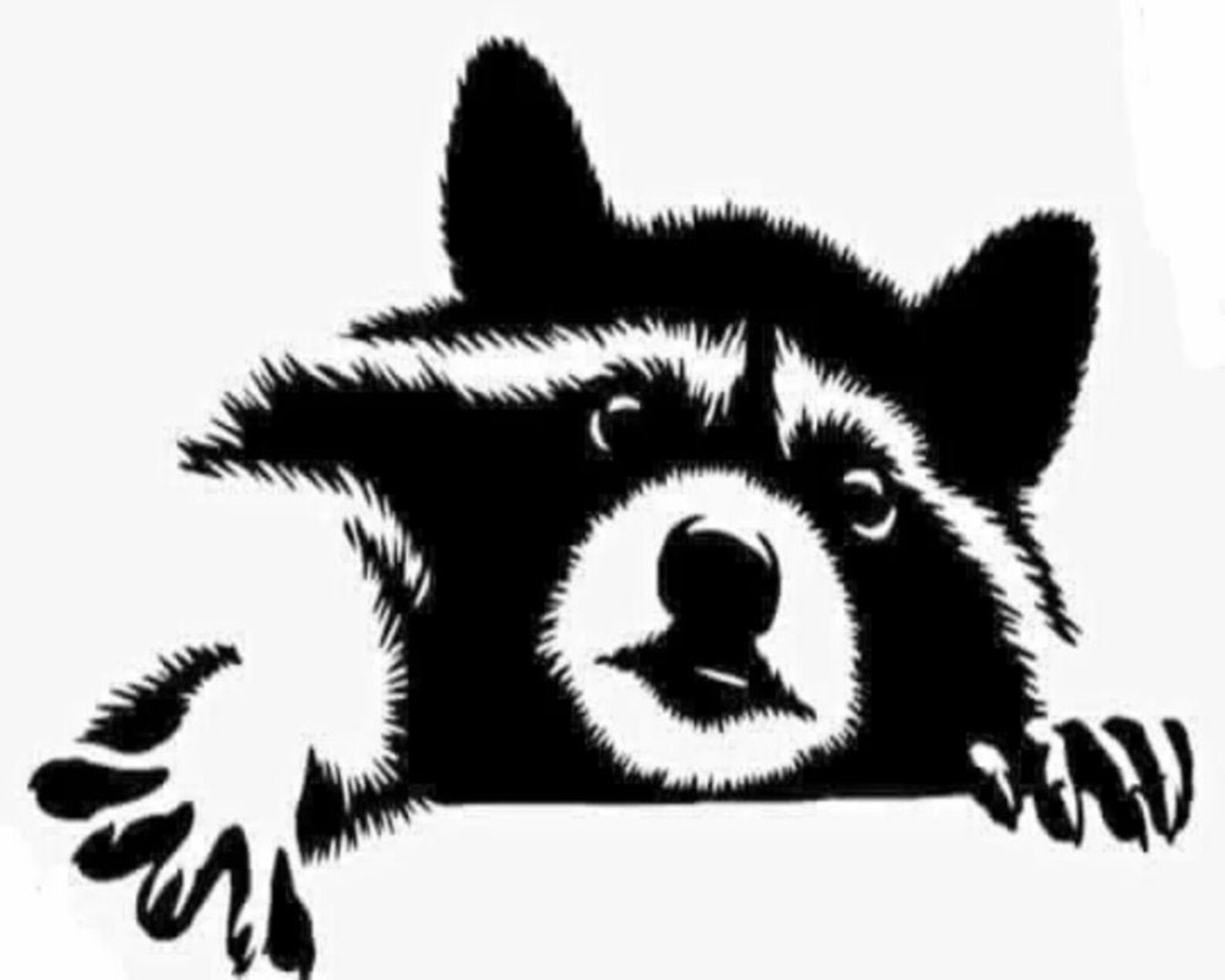 Raccoon Decal Vinyl Car Decal Window Decal Laptop Decal - Etsy
