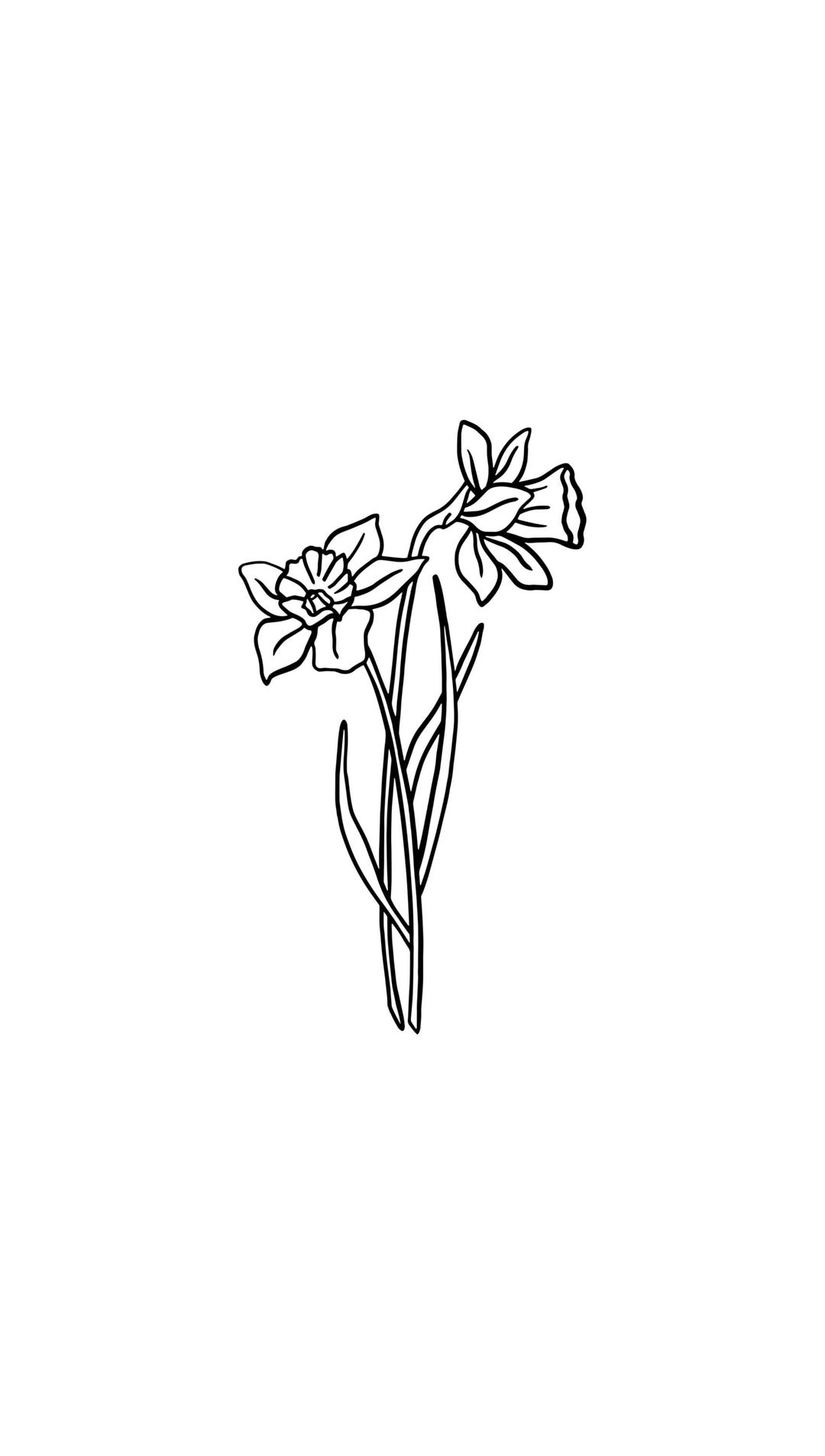 Daffodil Flower Decal | Vinyl Car Decal | Window Decal | Laptop Decal ...