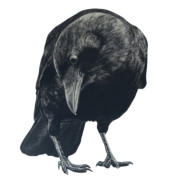 Crow Wall Decals - Etsy