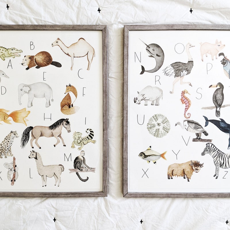 Animal Abcs - Etsy