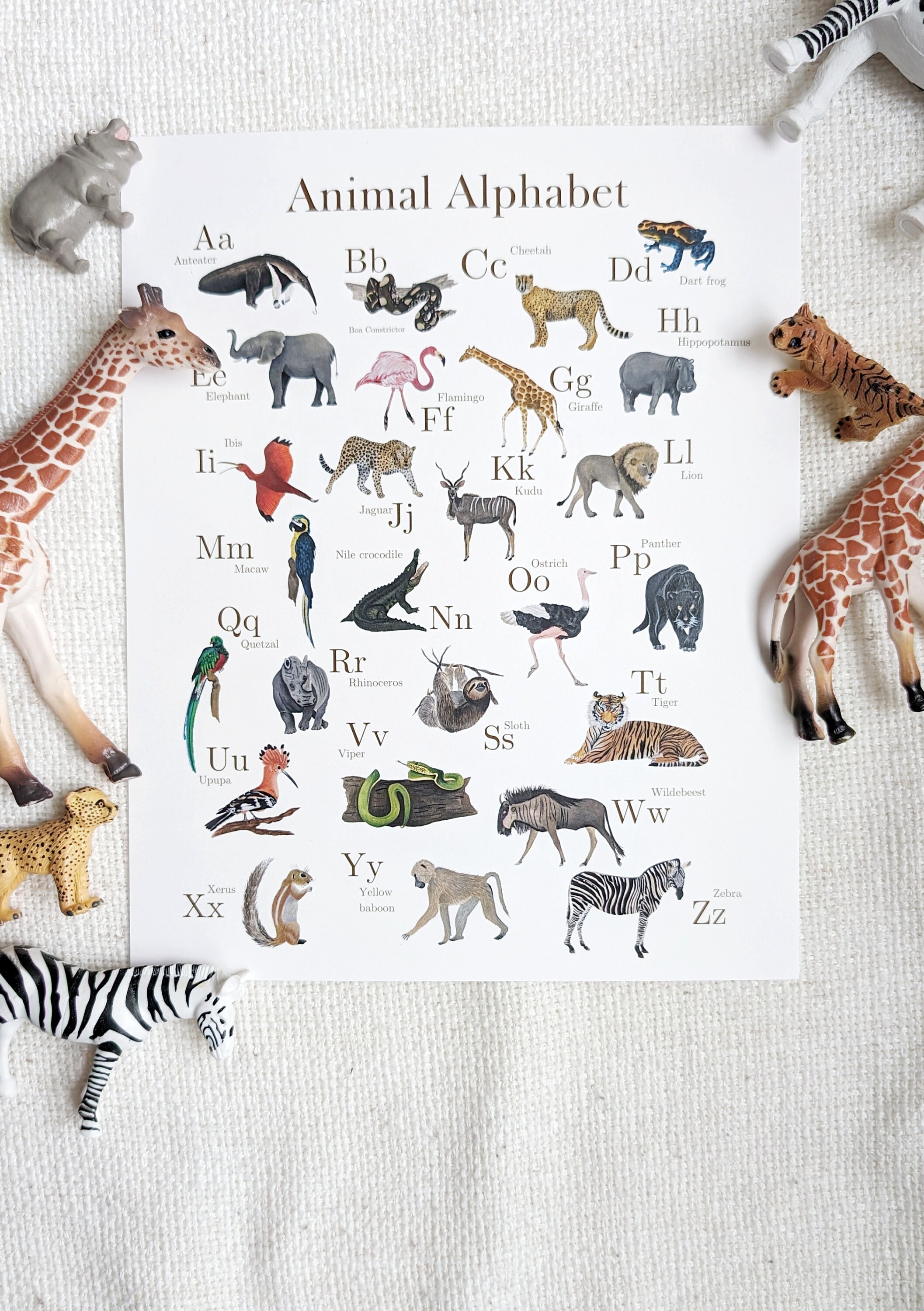 Safari ABC Print, Jungle ABC Print, Nursery Alphabet, Safari Alphabet ...