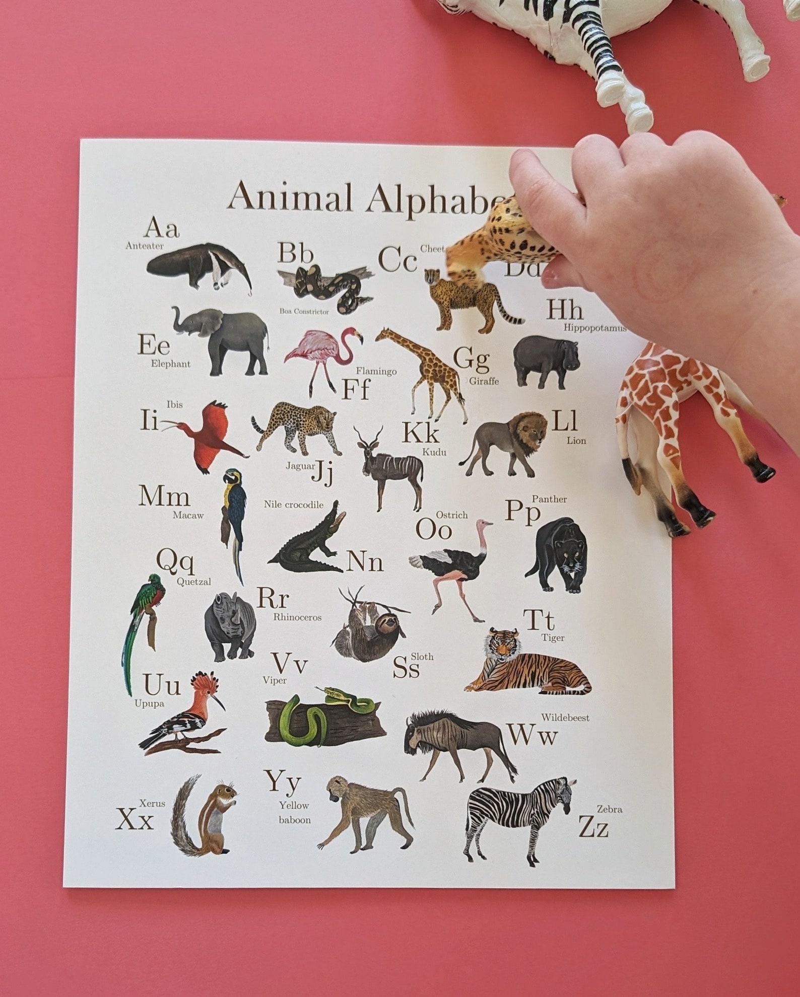 Safari ABC Print, Jungle ABC Print, Nursery Alphabet, Safari Alphabet ...