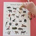 Safari ABC Print, Jungle ABC Print, Nursery Alphabet, Safari Alphabet ...