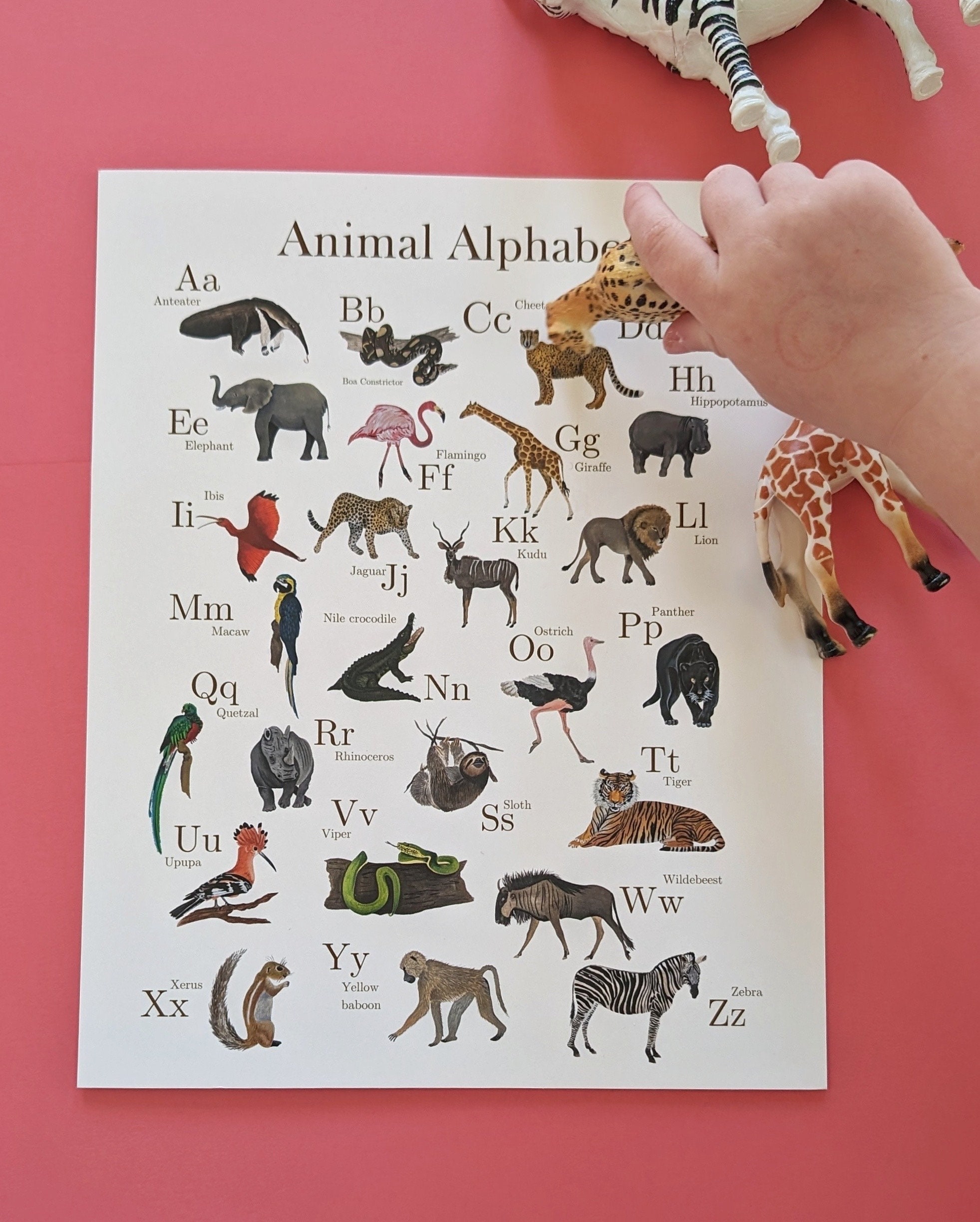 Safari ABC Print, Jungle ABC Print, Nursery Alphabet, Safari Alphabet ...