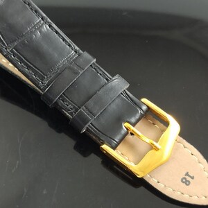 Vintage Sandoz Polemaster Automatic 25j Swiss Mens Date Wrist Watch ...