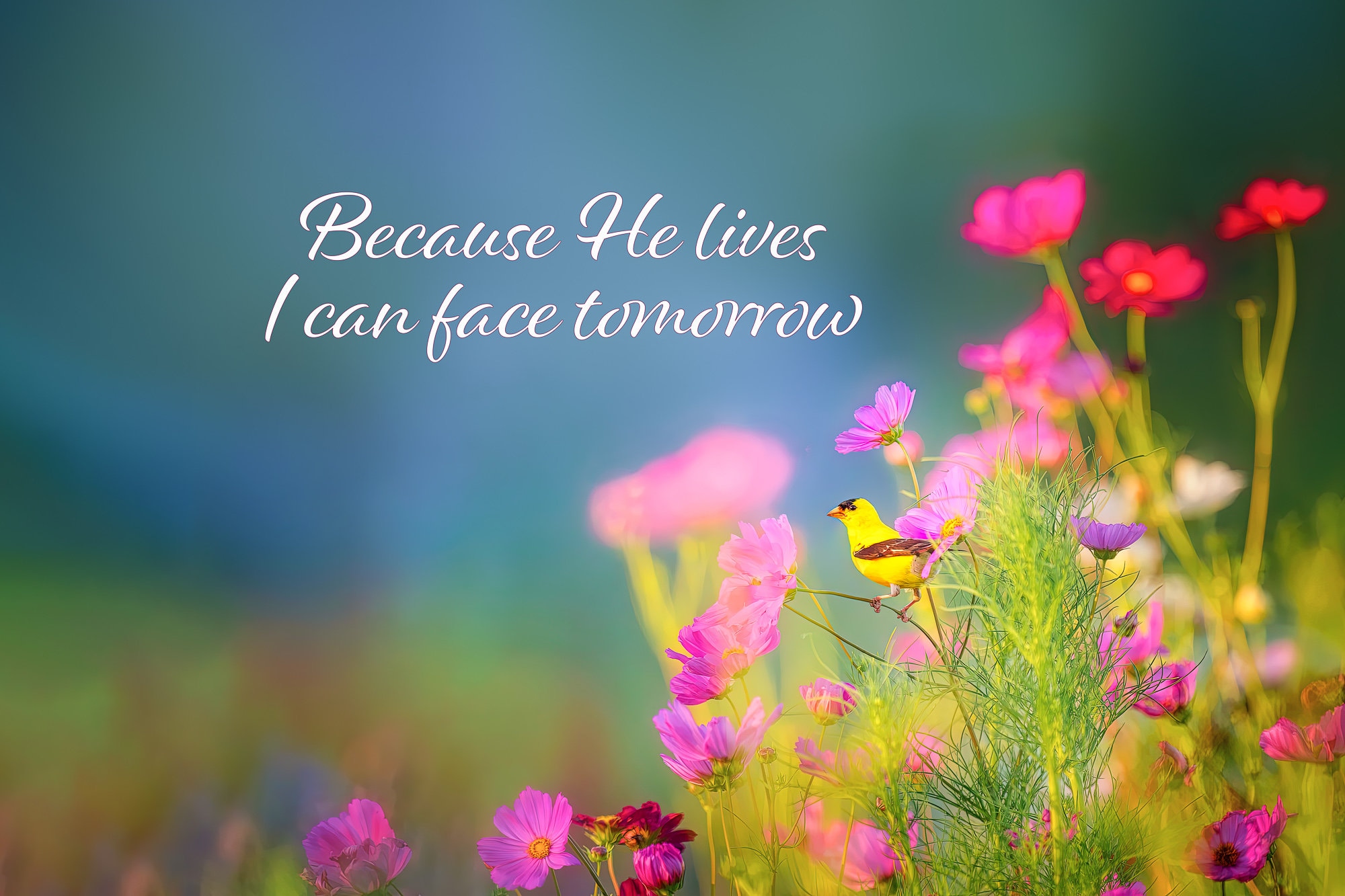 Because He Lives, I Can Face Tomorrow, Christian Inspirational Canvas ...
