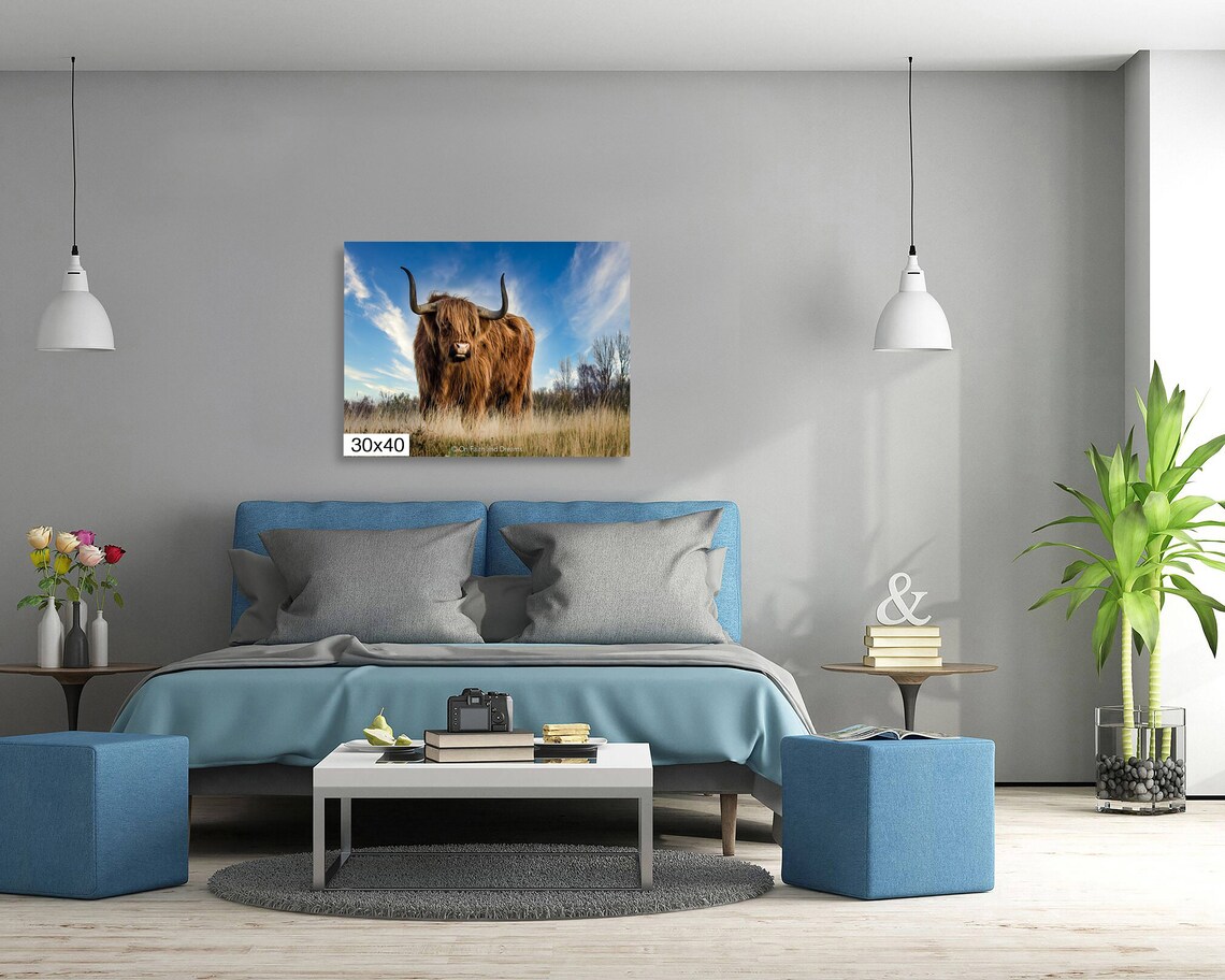 Highland Cow Canvas, Farmhouse Wall Decor, Highland Cow Photo Print ...