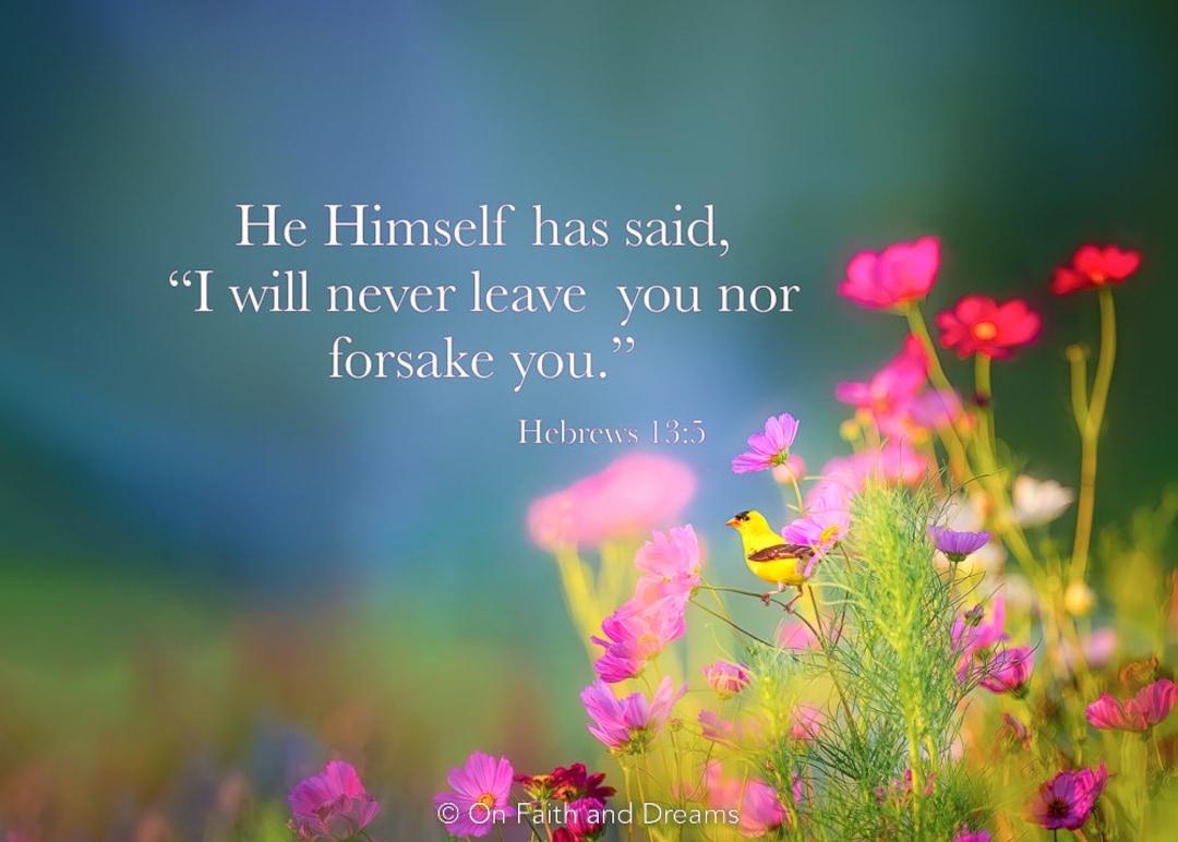 God Will Never Leave You Nor Forsake You Kjv on Sale ... God Will Never Leave You Nor Forsake You Kjv on Sale ...