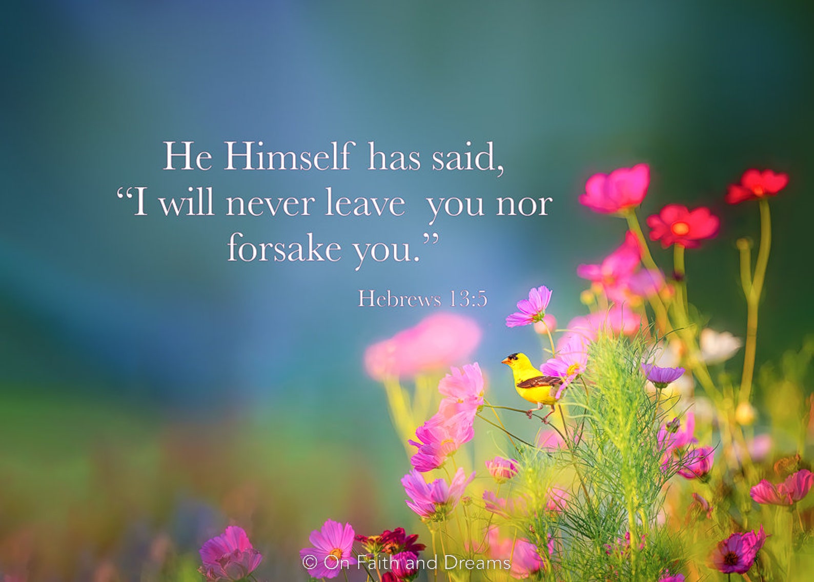 Hebrews 13:5, He Will Never Leave You nor Forsake You, Christian ...